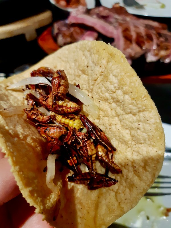 Owady, robaki, larwy do jedzenia - przyszłość gastronomii, kuchnia ...
