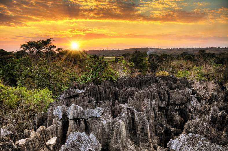 Tsingy de Bemaraha - Kamienny Las na Madagaskarze - ciekawostki ...