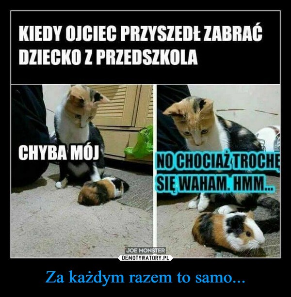 Jak wspominasz przedszkole? Najlepsze memy na Ogólnopolski Dzień ...