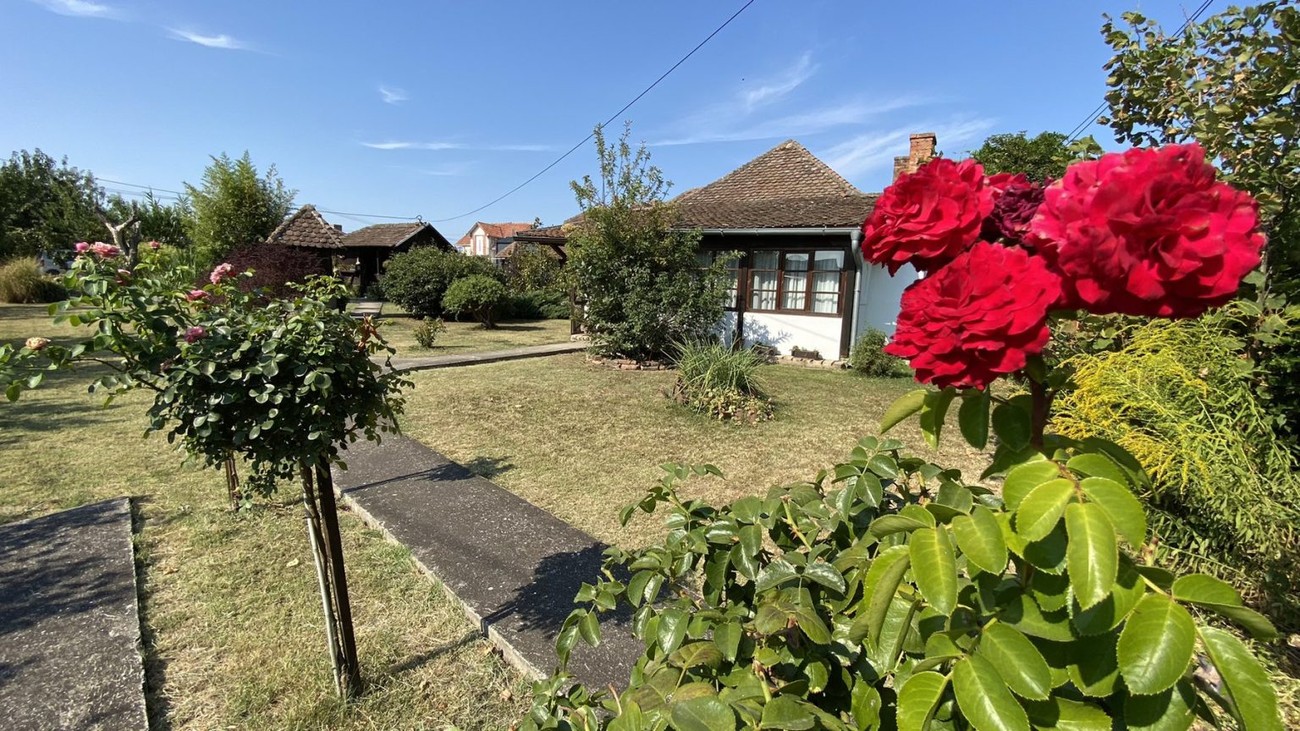 Janin raj najlepše etno dvorište u Šumadiji