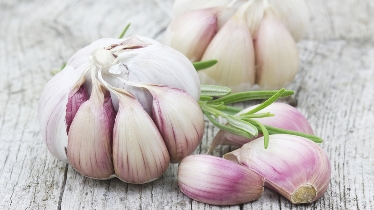 czosnek - właściwości zdrowotne, przepisy z surowym czosnkiem - Zdrowie