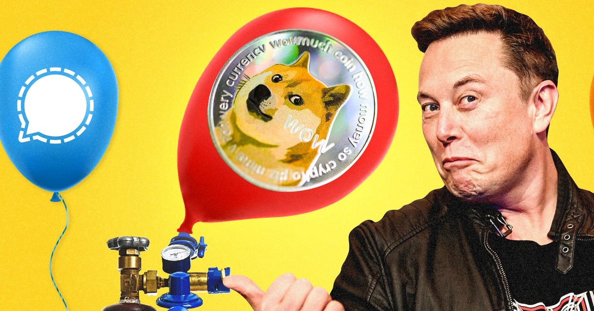 Elon Musk's championing of dogecoin made him the token's 'community ...