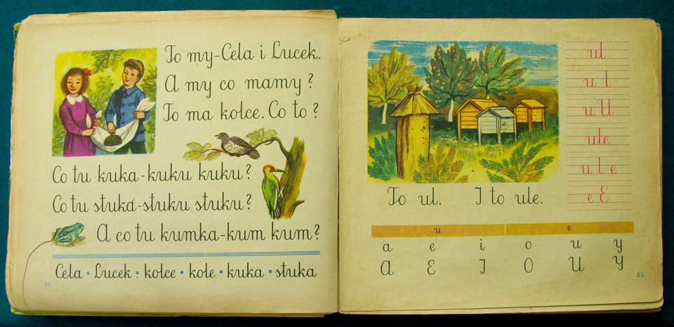 "Ala ma kota": to zdanie przeczytał chyba każdy z nas. Mija 45 lat od ...