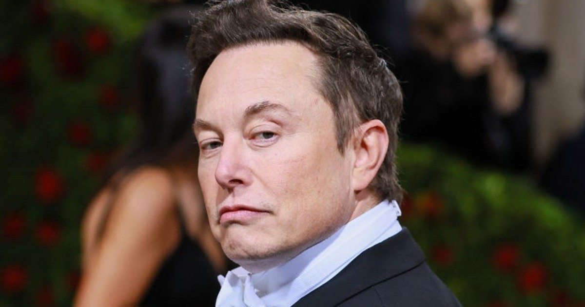 A brief history of Elon Musk's pets, including a 'nasty' Yorkshire ...