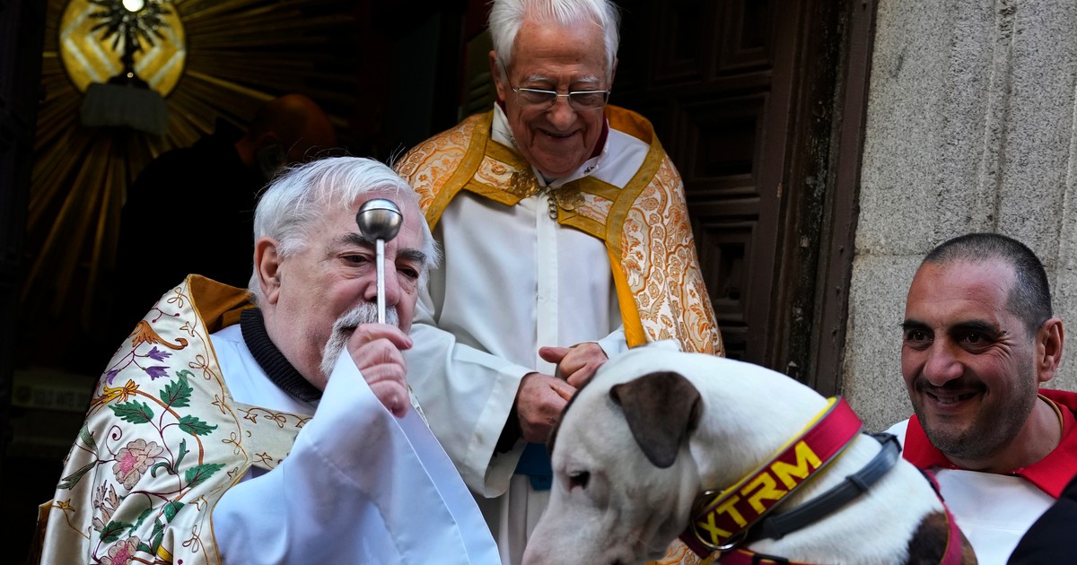 (FOTO) "TO JE MADRIDSKA TRADICIJA" Sveštenik blagoslovio kućne ljubimce, pa služio misu dok su ...