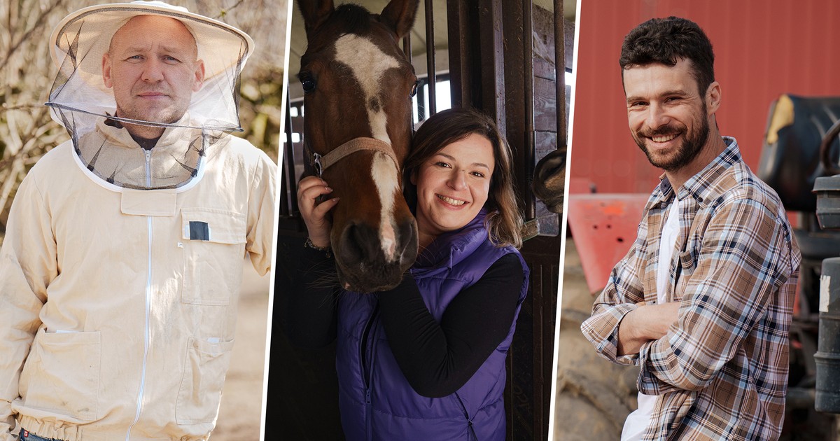 "Rolnik szuka żony 12": Osiem osób. Kto zdobędzie najwięcej listów?