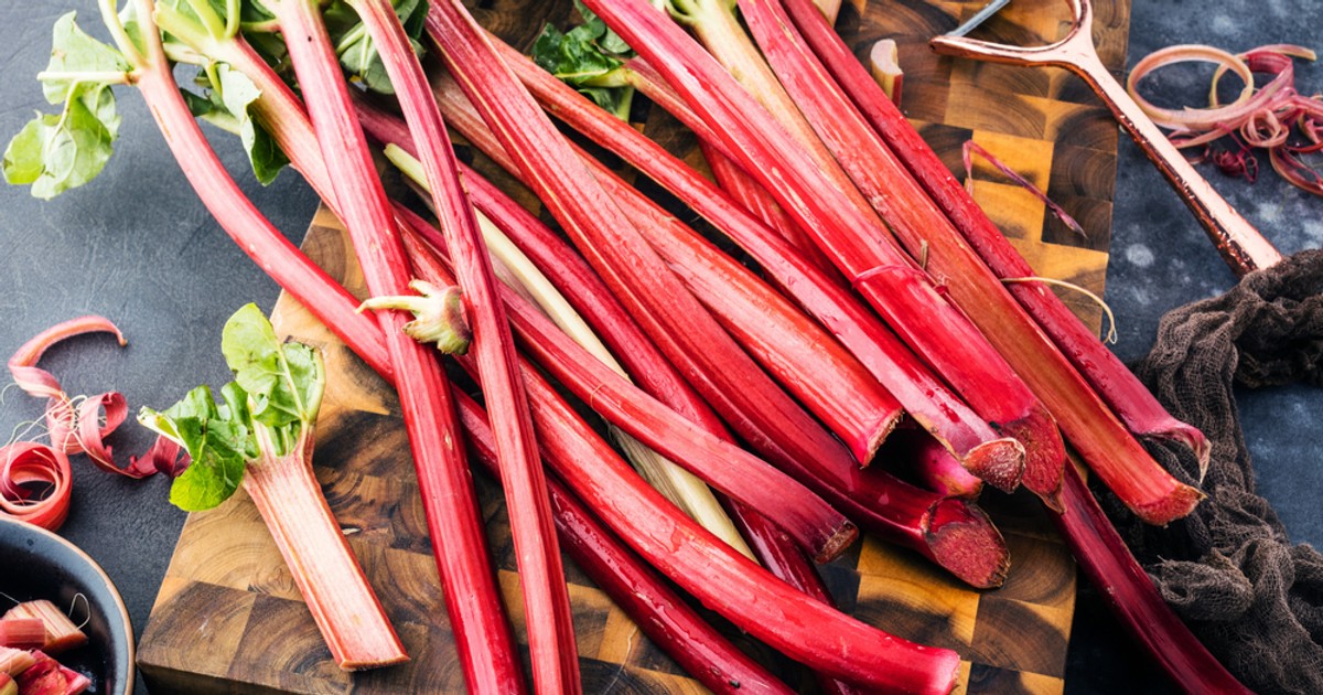Rabarbar może być trujący! Zwróć uwagę na ten szczegół - Dom