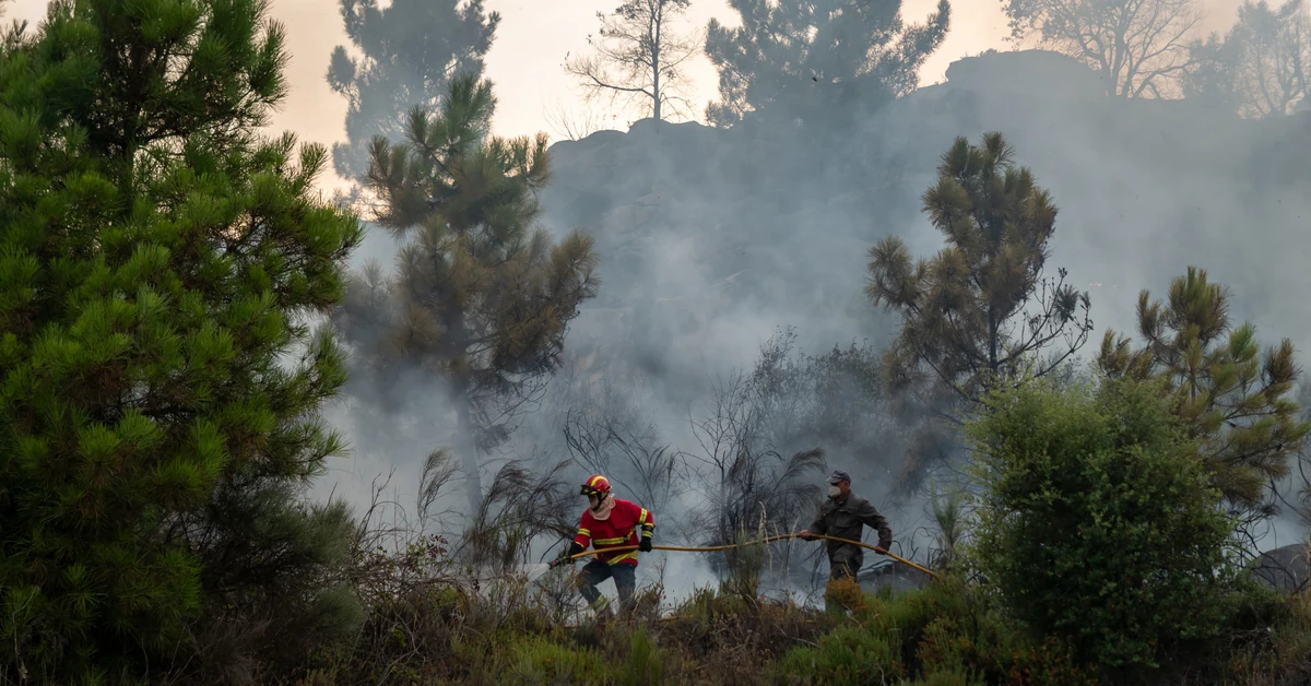 Niebezpiecznie w turystycznym raju. Ogłoszono stan alarmowy - Dziennik.pl