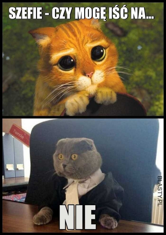 Najlepsze memy o szefie. To samo życie - Kobieta