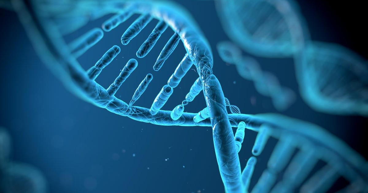 Genetyka - rozwój, podział. Genetyka w medycynie, rolnictwie i ...