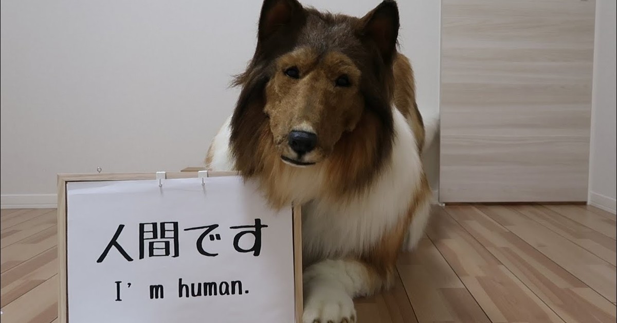Meet the Japanese man who spent ₦‎10.8 million to transform into a dog ...