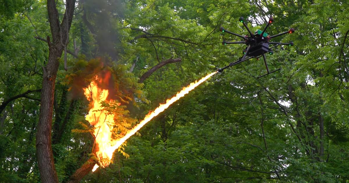 Latający miotacz ognia TF-19 Wasp firmy Throwflame można kupić w internecie - Noizz