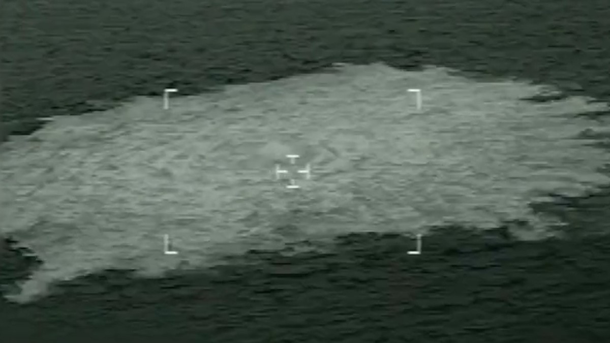 Nemačka izdala nalog za hapšenje ukrajinskog ronioca Volodimira Z ...