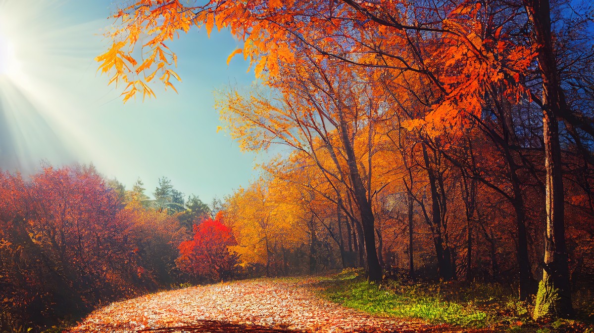 Jelentősen nő az őszi meleg periódusok száma Magyarországon - Blikk