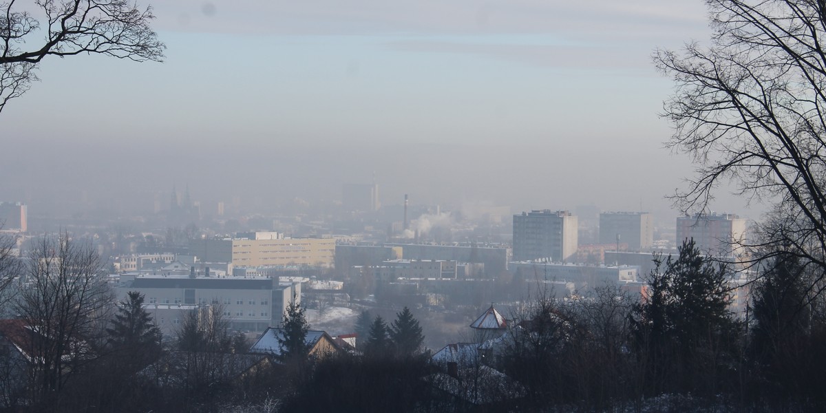 SMOG w wielu miastach Polski. Fatalny stan i jakość powietrza - Wiadomości