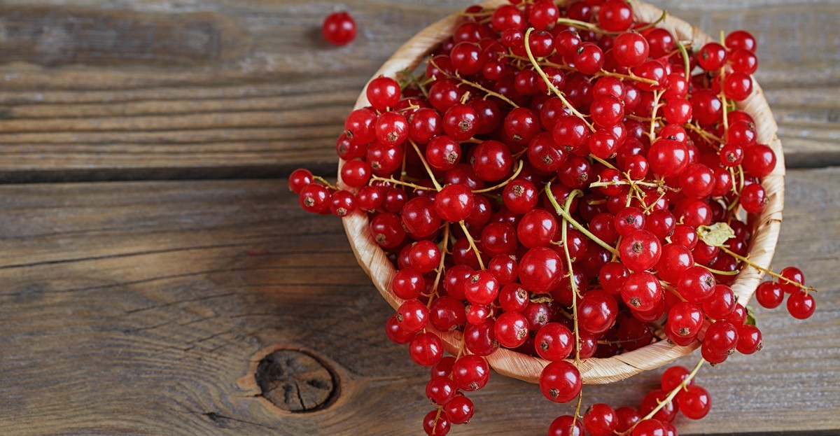 Czerwona porzeczka - wartości i właściwości. Dlaczego warto jeść ...