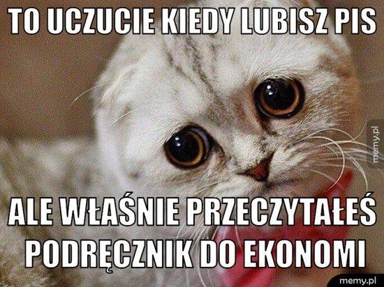 Najlepsze memy o rządach PiS - Polska - Newsweek.pl