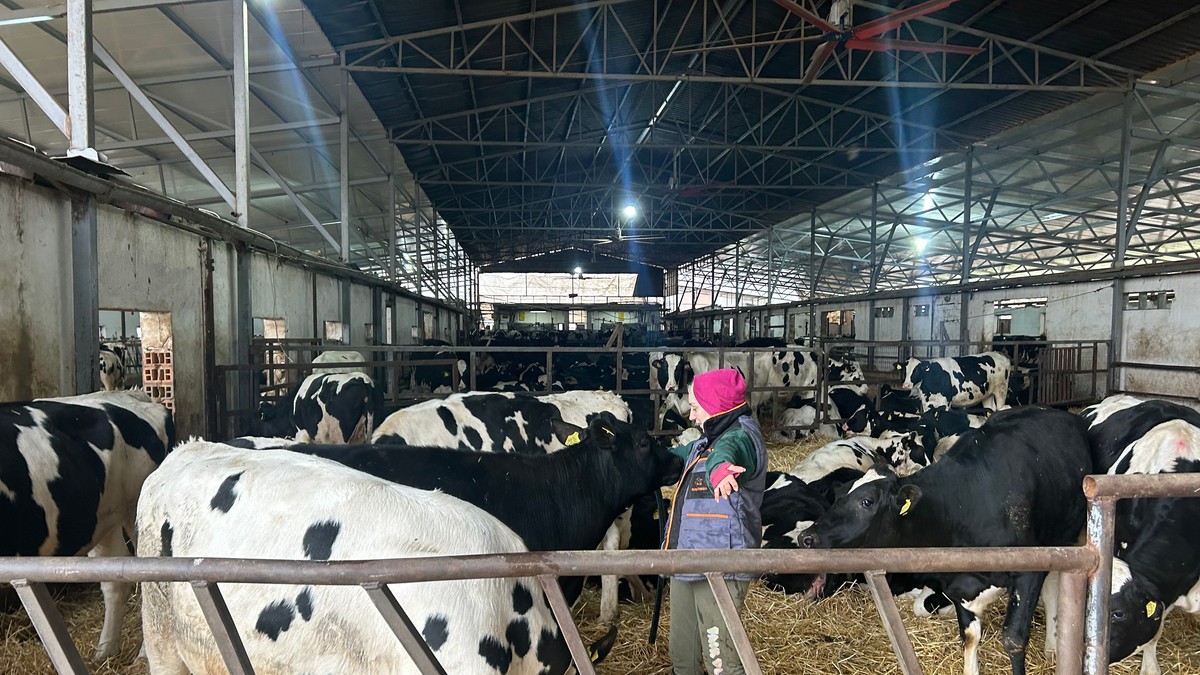 Država daje i do 3 miliona dinara za farme: Pogledajte da li ...
