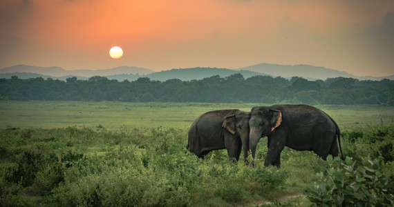 Dokąd warto pojechać? Najlepsze miejsca wg Lonely Planet's Best in ...