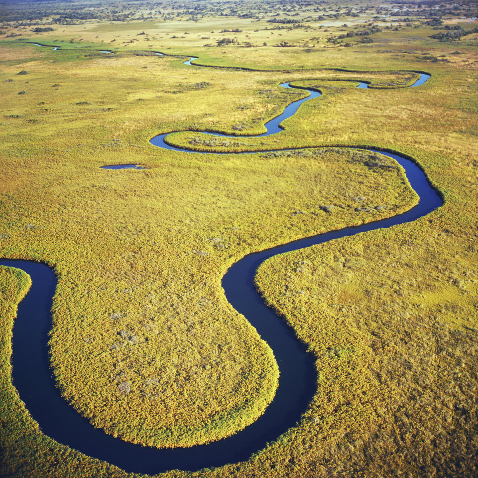 Delta Okavango, Botswana - przyroda i zwierzęta - Podróże