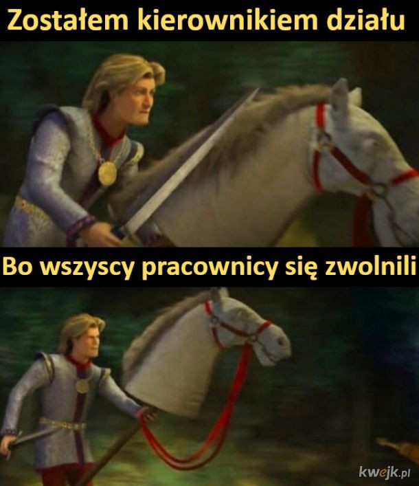 Najlepsze memy o szefie. To samo życie - Kobieta