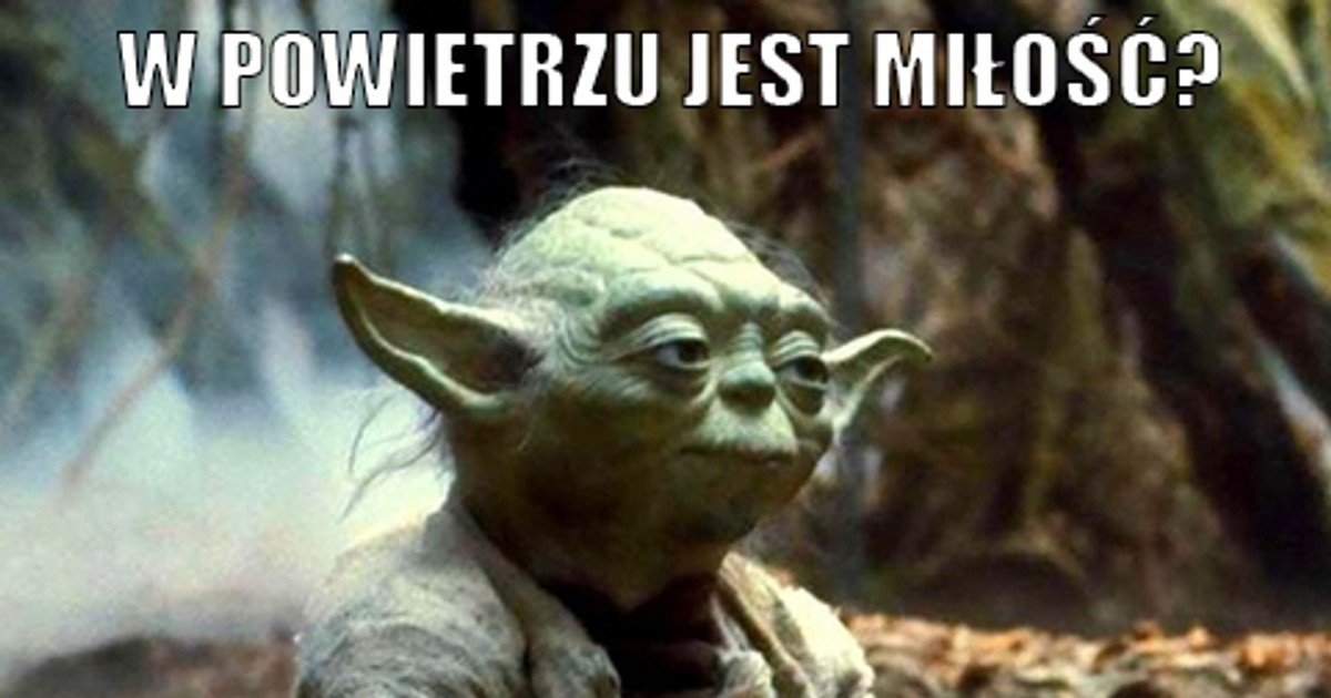 Walentynki tuż, tuż. Zobacz najlepsze memy - Kobieta