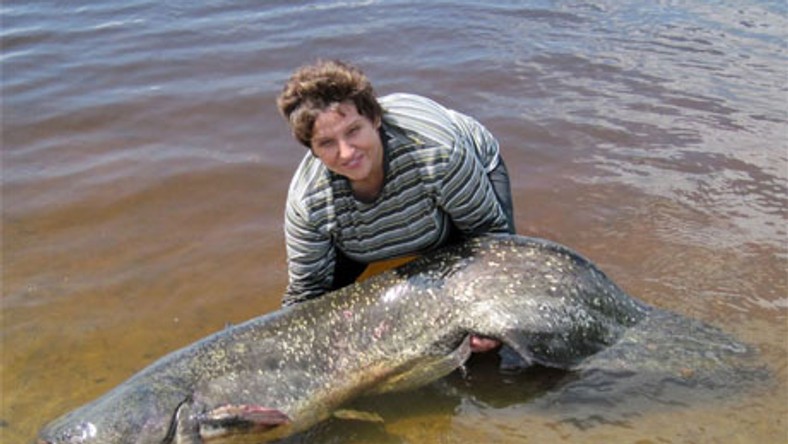 Sumy-mutanty w okolicach Czarnobyla? Nie uwierzysz, dopóki nie ...