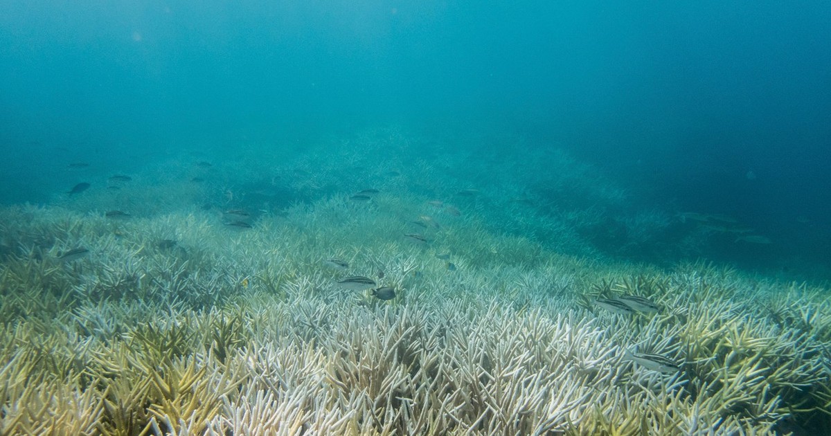 The oceans are heating up 40% faster than scientists realized — which ...