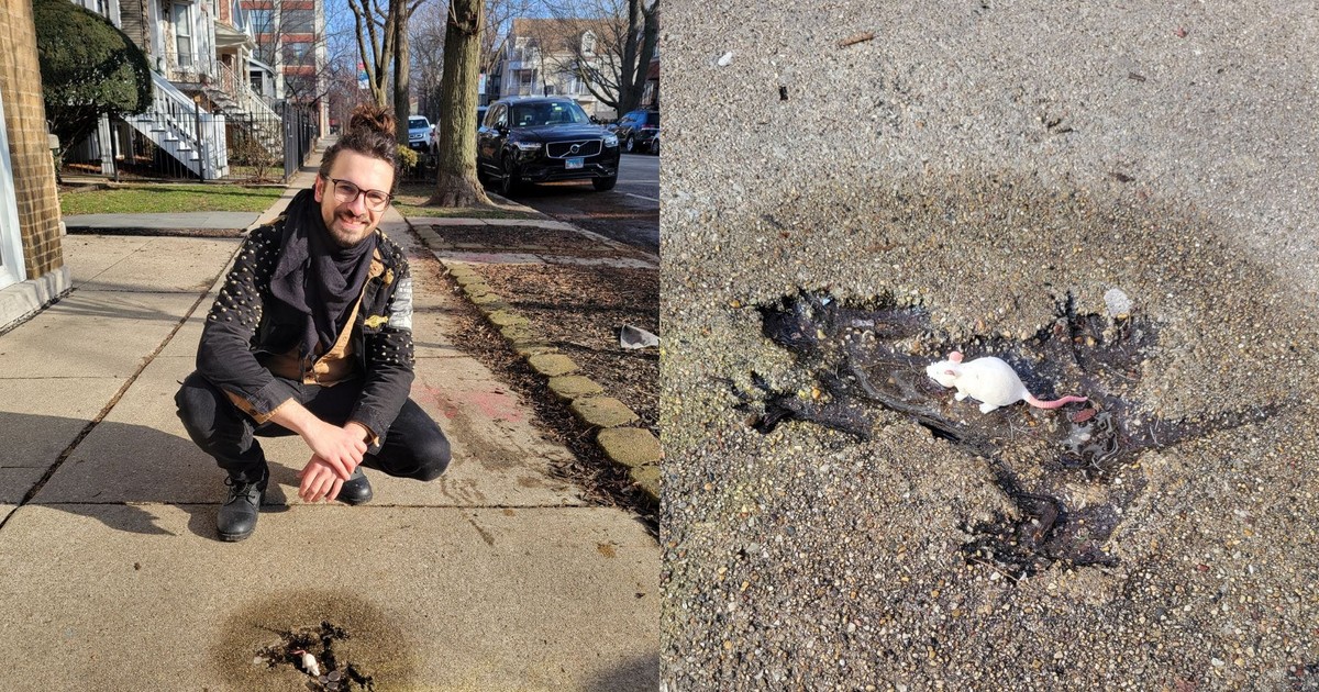 A Chicago artist says his viral tweet of a 'rat hole' helped pay his ...