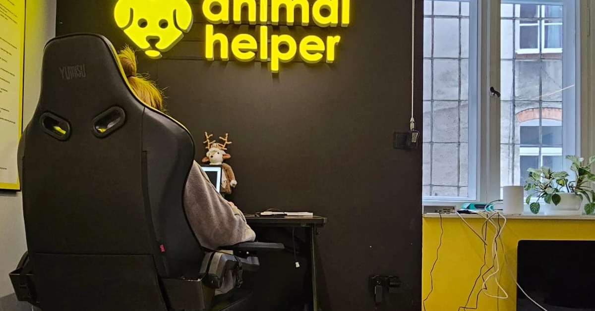 112 dla zwierząt. Aplikacja Animal Helper rusza w kolejnych ...