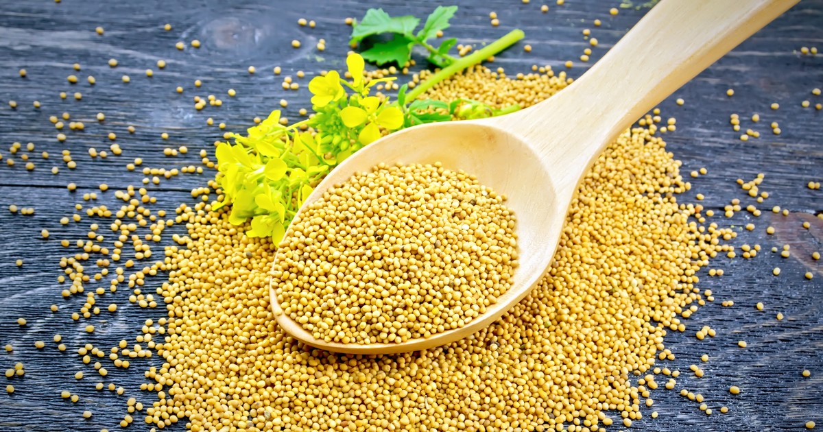 A mustármag jótékony hatásai - Rúzs Online