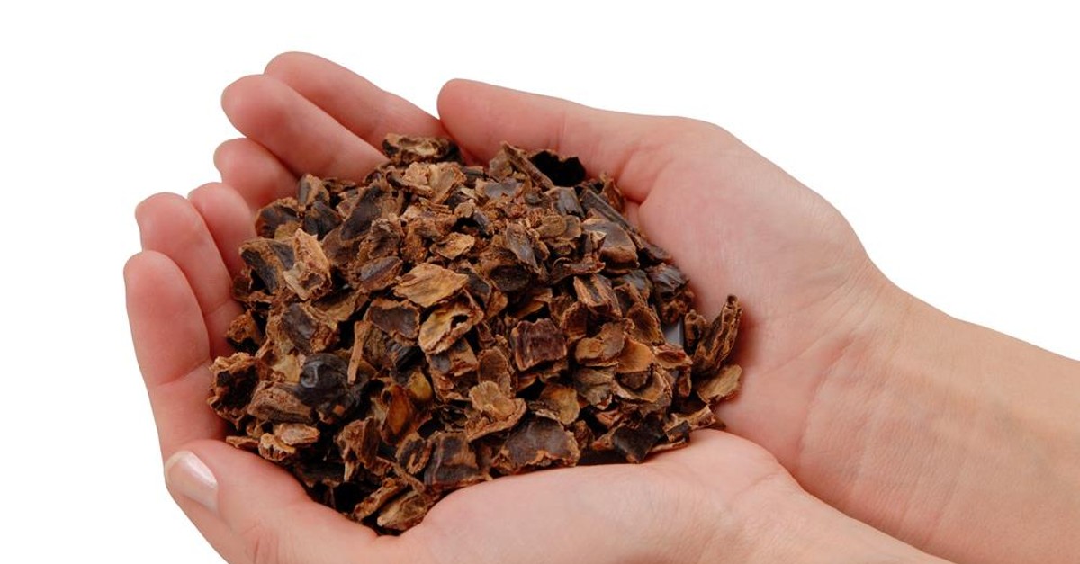 Karob- co to za substancja? Do czego można jej używać? Jakie ma ...