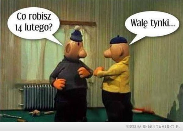 Walentynki tuż, tuż. Zobacz najlepsze memy - Kobieta