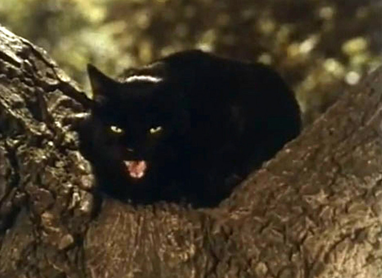 "Siedem życzeń". O czym był serial? Fabuła, obsada, ciekawostki - Film