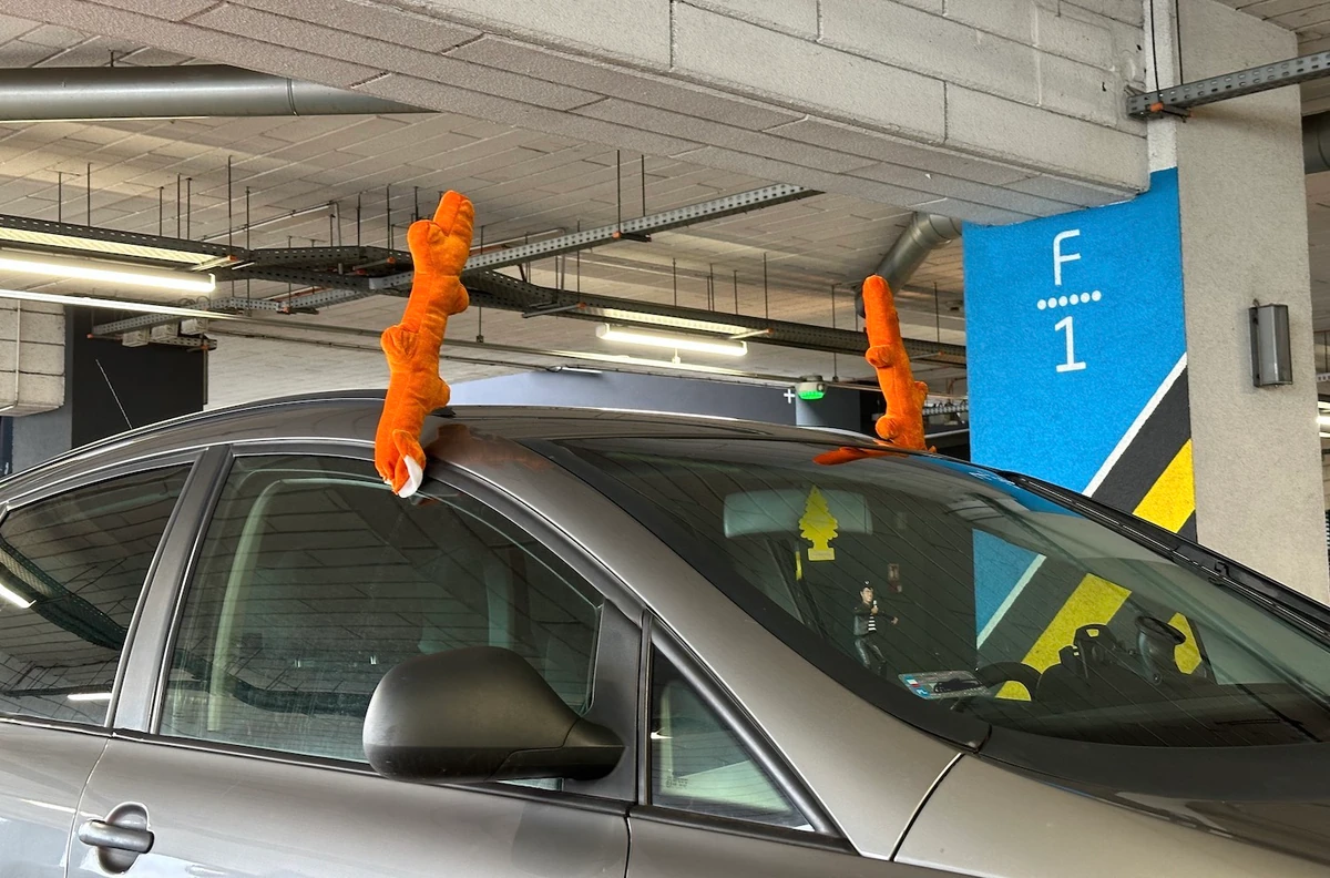 Mandat za rogi renifera na aucie? Policjant mówi, czy można dostać karę ...