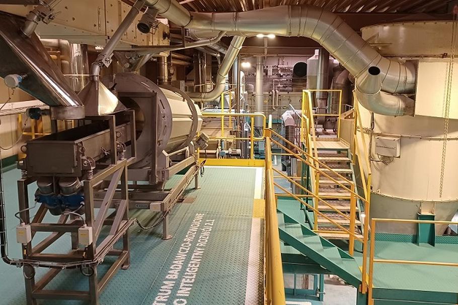 Innowacja od Lubelli – nowa żywność ekstrudowana - Technologie - Forbes.pl