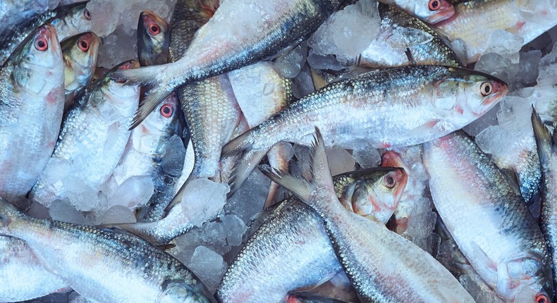 A Michigan man beat a grocery store worker with a frozen fish because ...