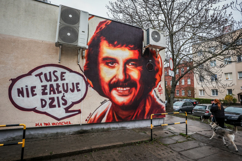 Anna Przybylska. Mural z aktorką nie podoba się odbiorcom. Zobacz inne ...