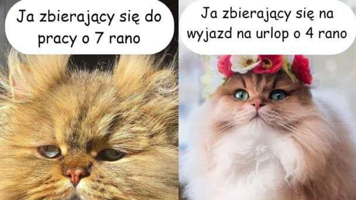 Najlepsze memy o urlopie. Rozbawią cię do łez! - Kobieta