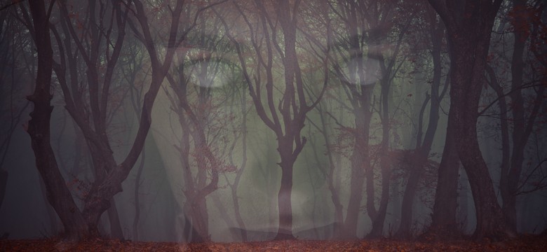 Robin Hartmann - Podróże