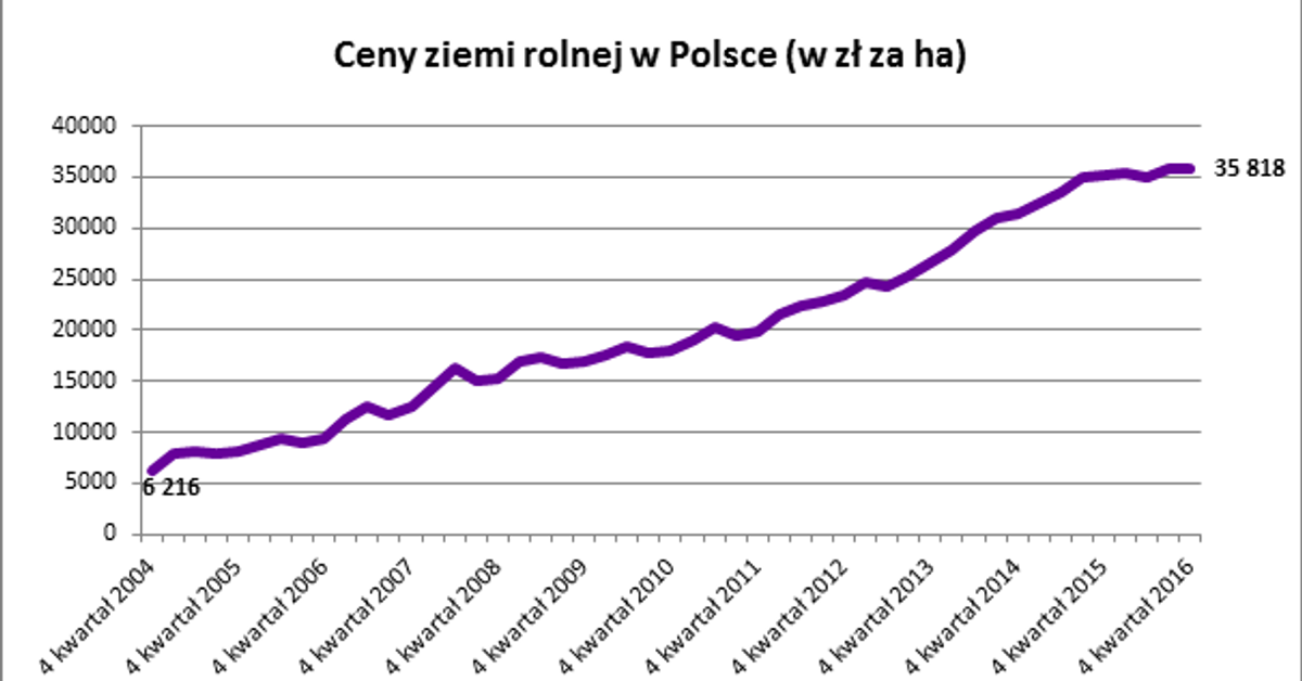 Ceny ziemi rolnej w Polsce. Oto najnowsze dane - Forsal.pl Ceny ziemi rolnej w Polsce. Oto najnowsze dane - Forsal.pl