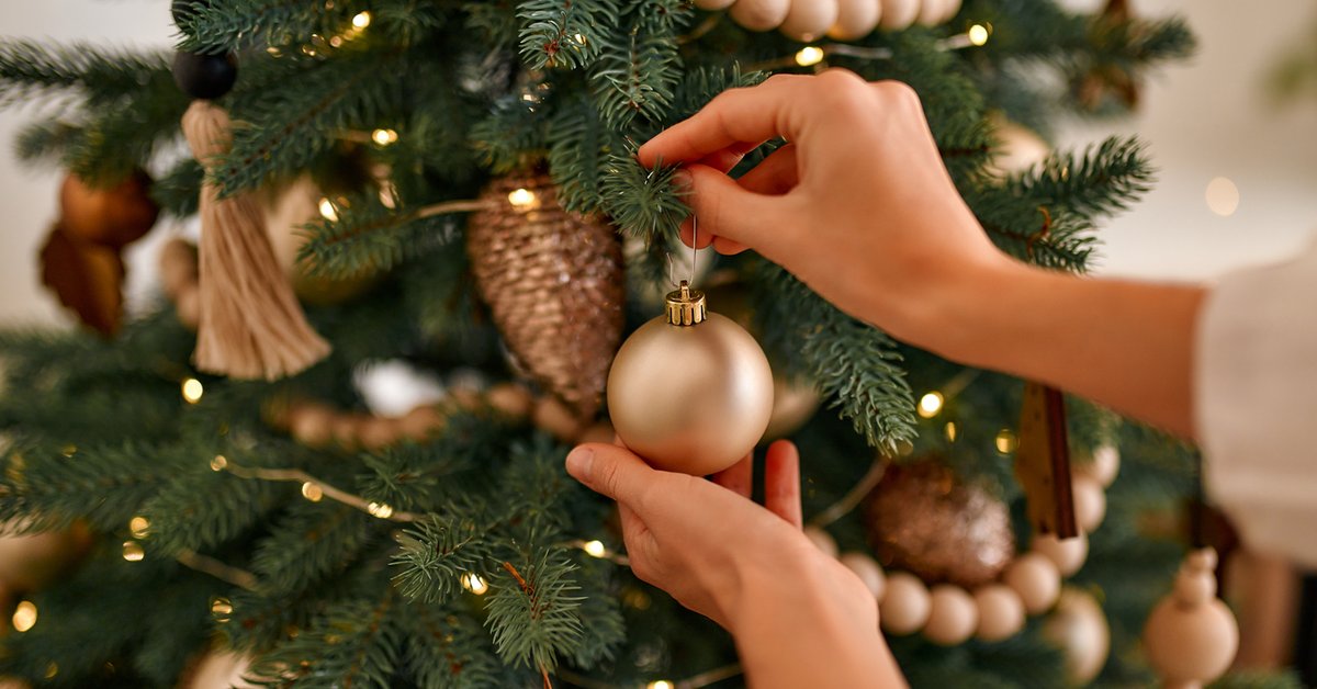 Skąd się wzięła świąteczna choinka? - Informacje