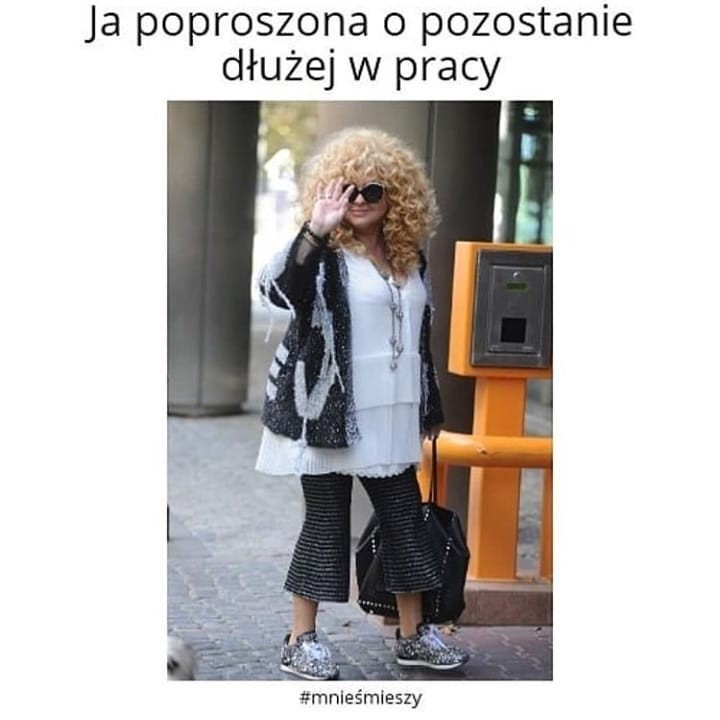 Najlepsze memy z Magdą Gessler. Gwiazda "Kuchennych rewolucji" rozbawia ...