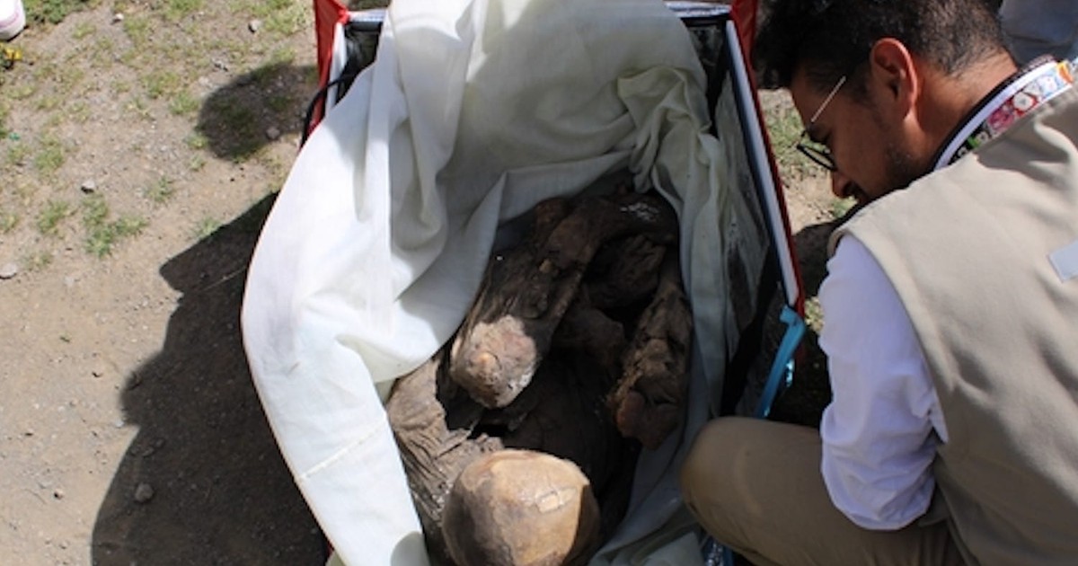 A Peruvian man was found carrying around a 600-year-old mummy in his ...