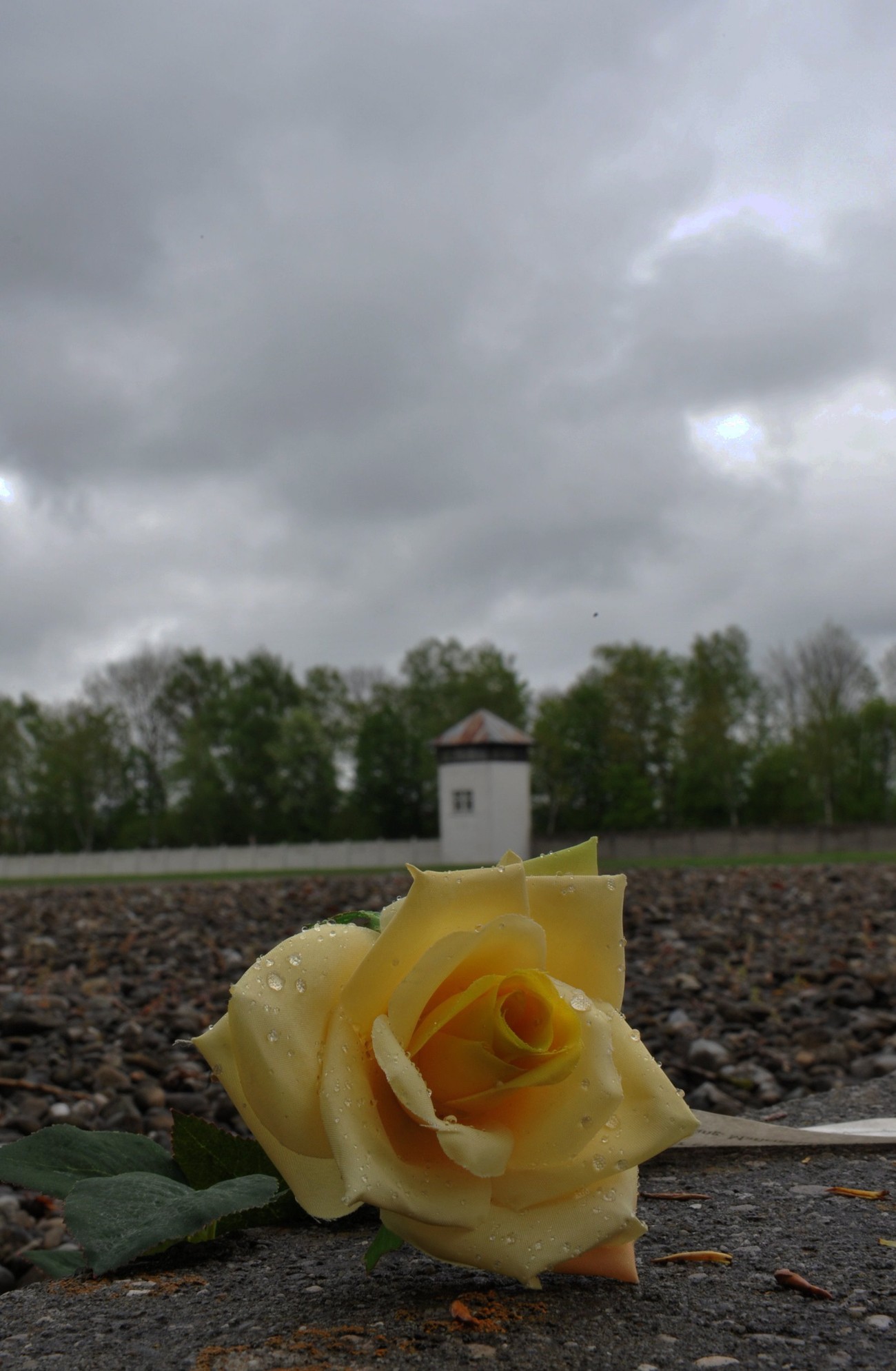 NAJSTARIJI LOGOR SMRTI Pre 73 godine oslobođen je zloglasni DAHAU (FOTO ...