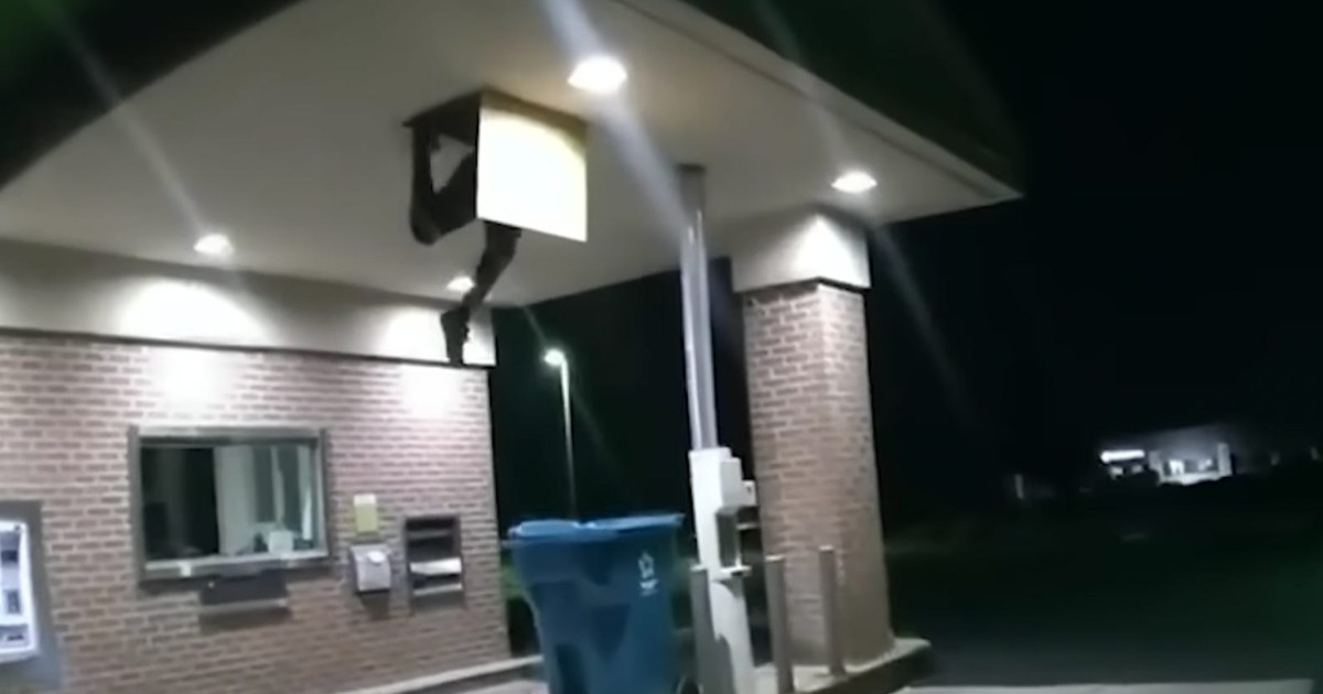 Bank robbery suspect foiled after falling from roof into recycling bin ...