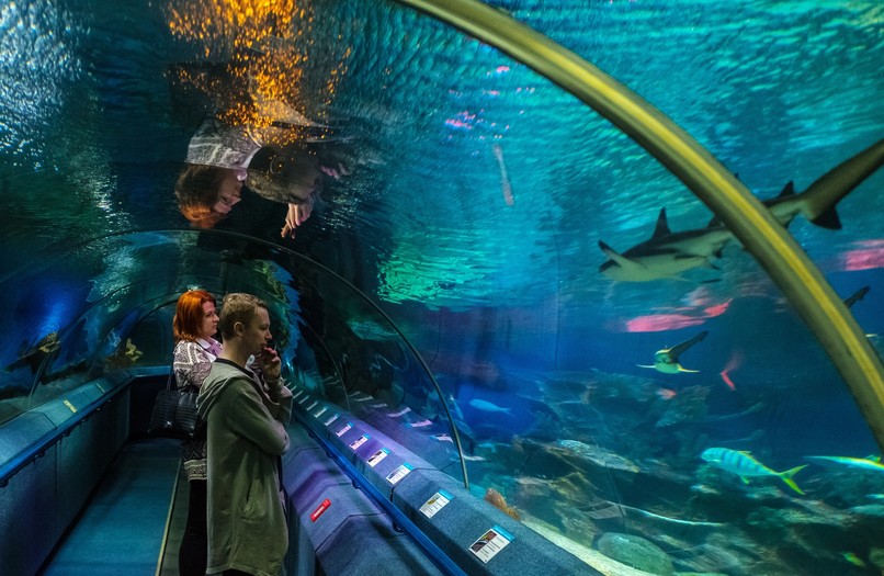 Oceanarium w Gdańsku: zobacz, jak będzie wyglądać park Nautilus