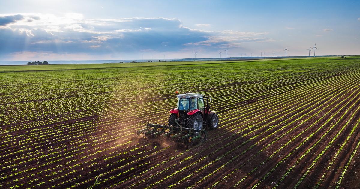 Onet24: propozycje ws. budżetu na rolnictwo - Wiadomości