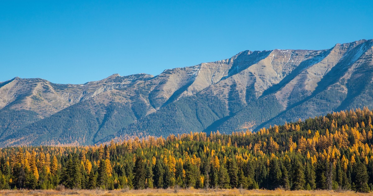 The largest employer of a Montana mountain town is shutting down ...