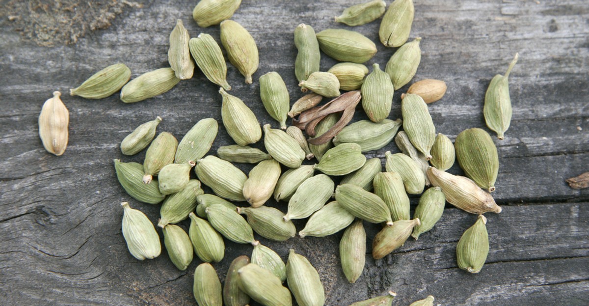 Kardamon – pochodzenie, zastosowanie i właściwości zdrowotne